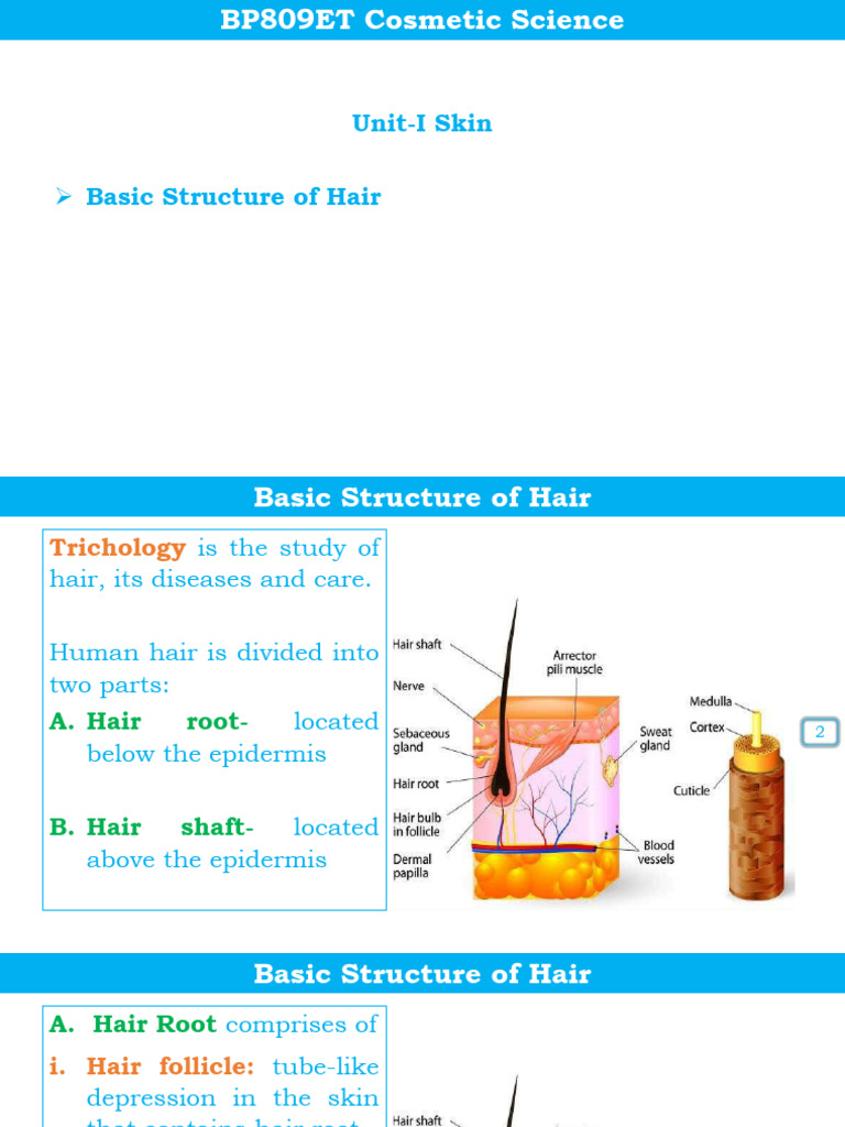 1.9 Hair - Basic Structure | PDF