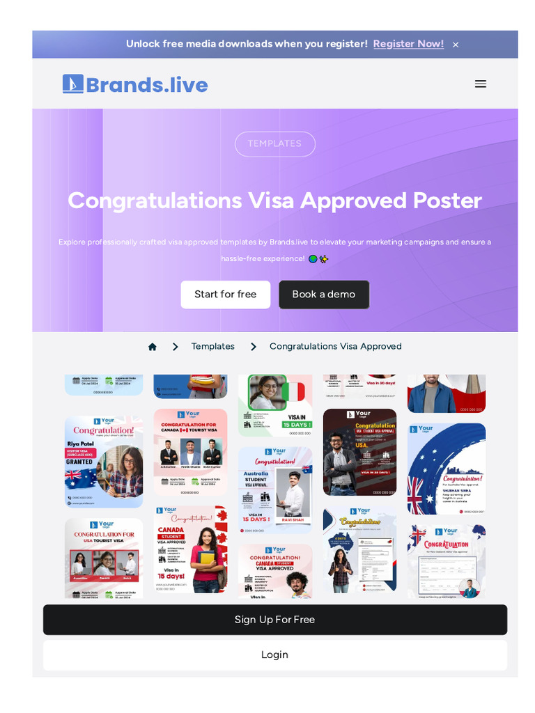 Visa Approval Celebration Templates | PDF