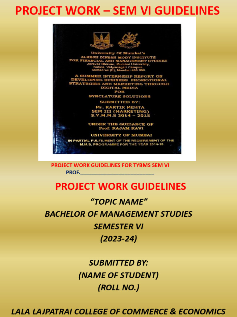 2.sem Vi Project Guidelines-2023-24 | PDF | Science | Scientific Method