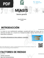 Miasis Cutánea: Diagnóstico y Tratamiento | PDF | Especialidades ...