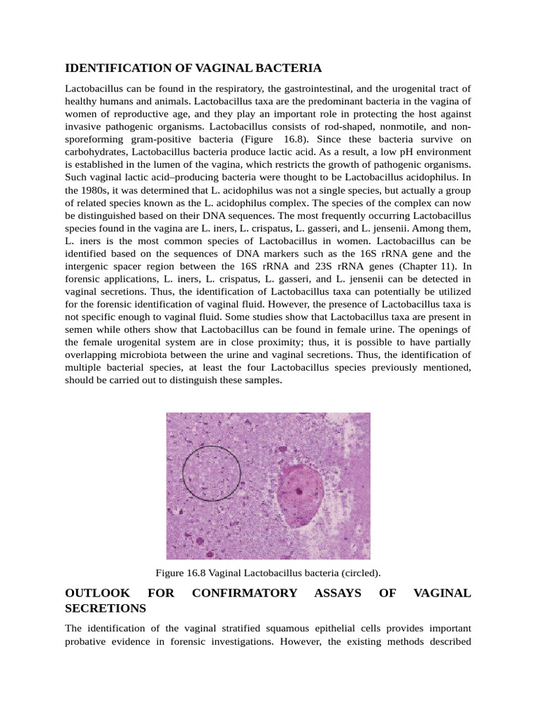 Identification of Vaginal Bacteria | PDF | Coagulation | Extracellular ...