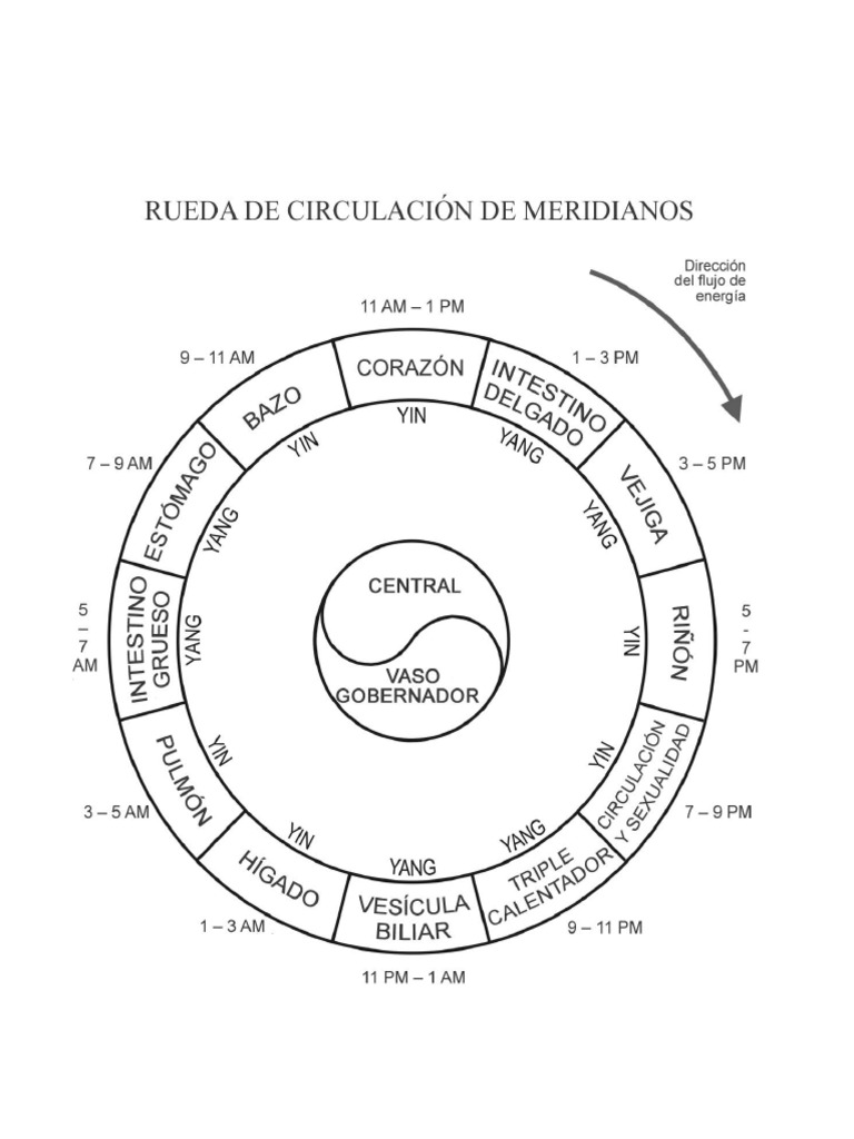 EMEDES WU2 Meridian Flow Wheel | PDF