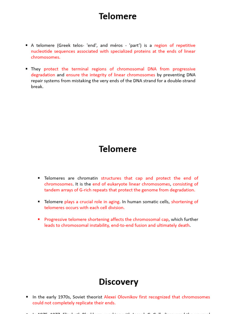 Telomere | PDF | Telomere | Dna Replication