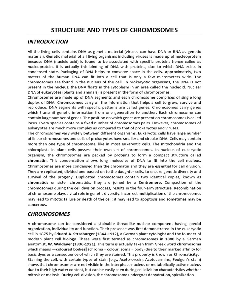 Structure and Types of Chromosomes | PDF | Chromosome | Chromatin