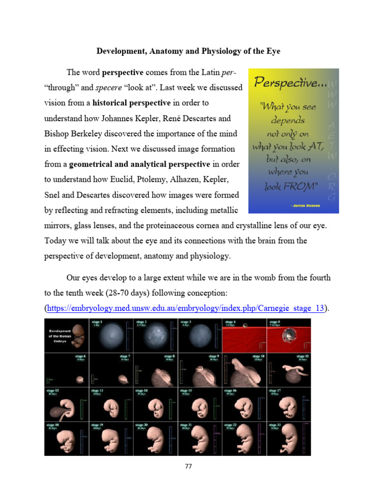 Development, Anatomy and Physiology of The Eye | PDF | Retina | Visual ...