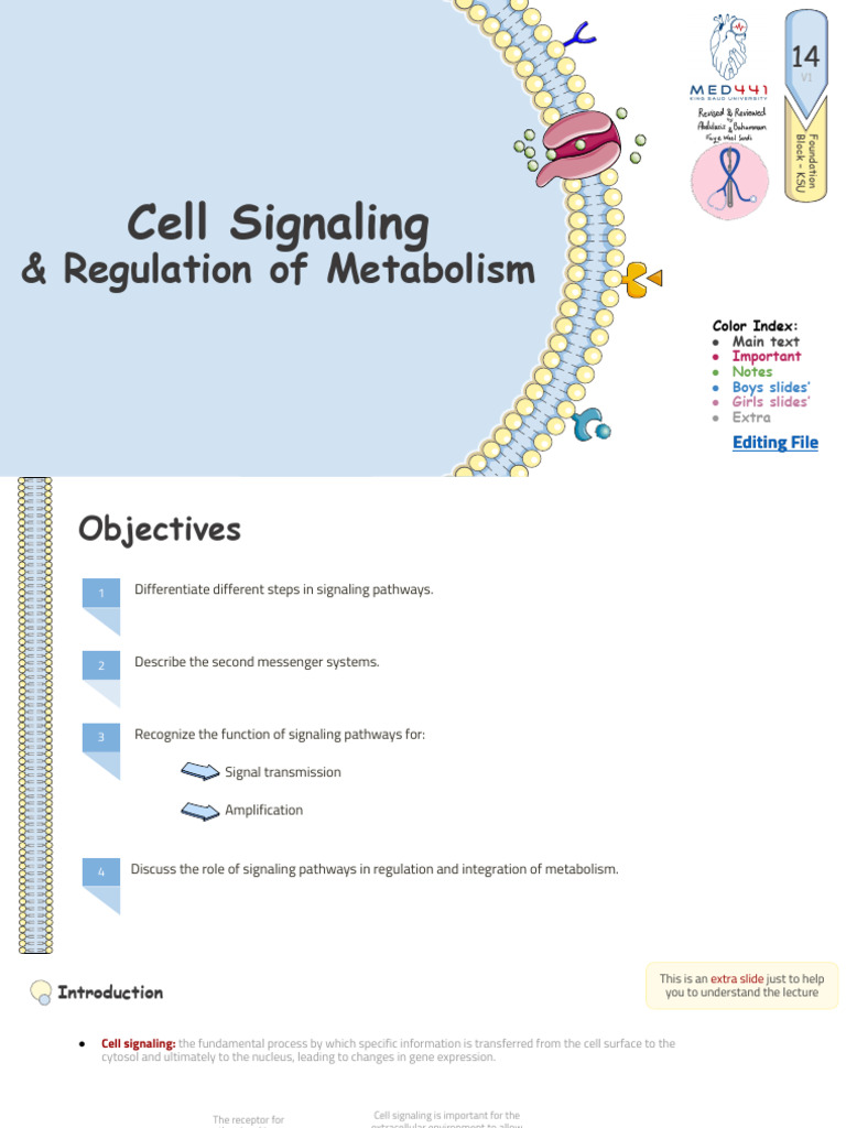 Cell Signaling and Metabolism Regulation | PDF | Cell Signaling ...