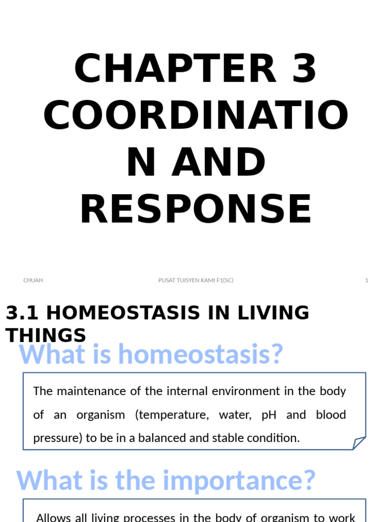 Chapter 3 Coordination and Response 1 | PDF | Stoma | Homeostasis