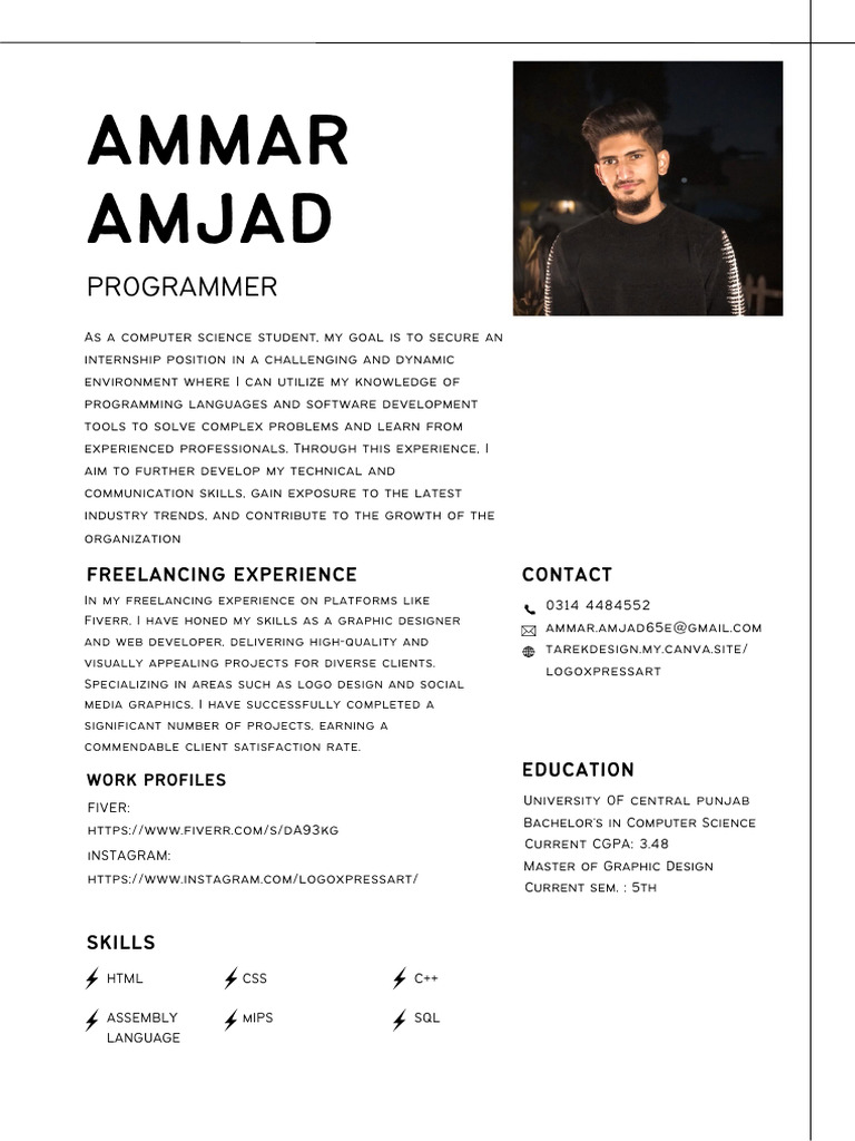 Ammar Amjad: Programmer | PDF