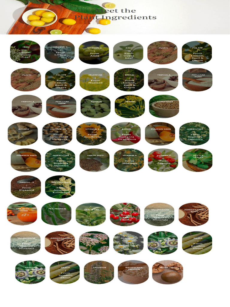 All-Plant-Ingredients | PDF