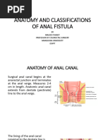 Fistula in Ano: Causes, Diagnosis, and Treatment | PDF | Medical ...