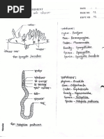Biology 2nd Paper Practical-2025 | PDF