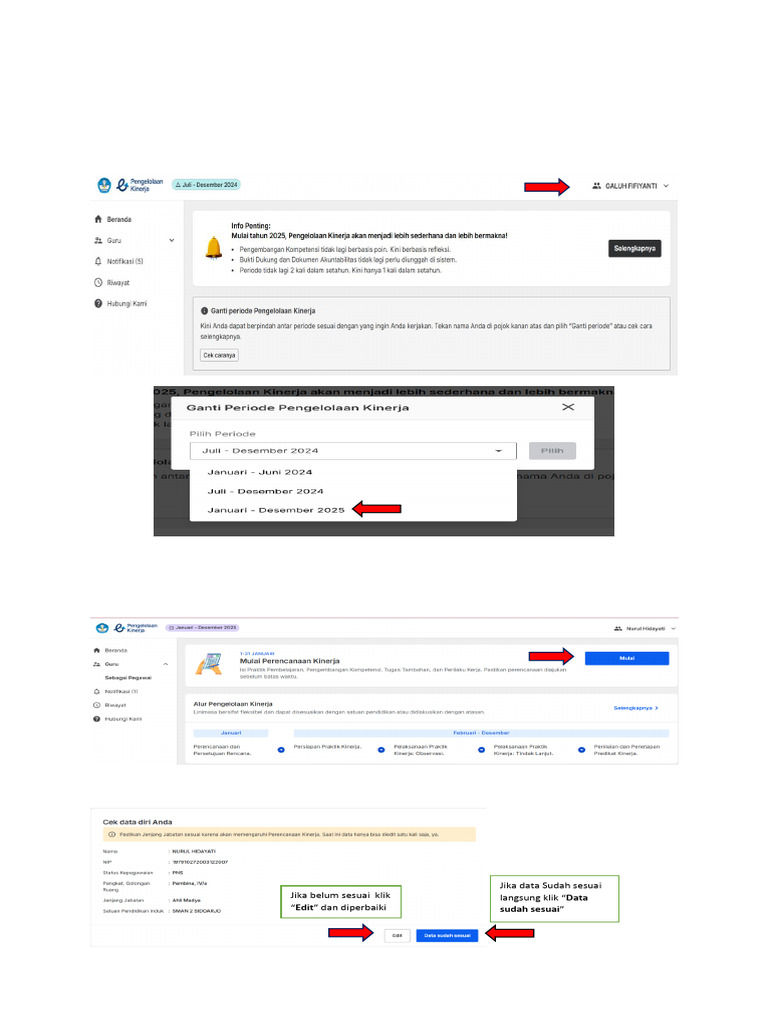Panduan Pengisian E-PKG 2025 | PDF