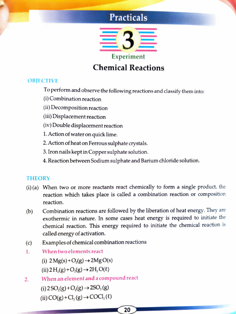 science holiday homework (1) | PDF | Chemical Reactions | Stoma