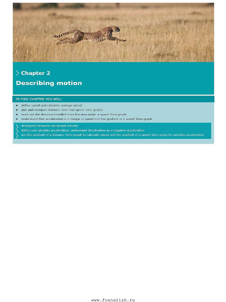 Physics Chapter 2 | PDF | Wound | Speed