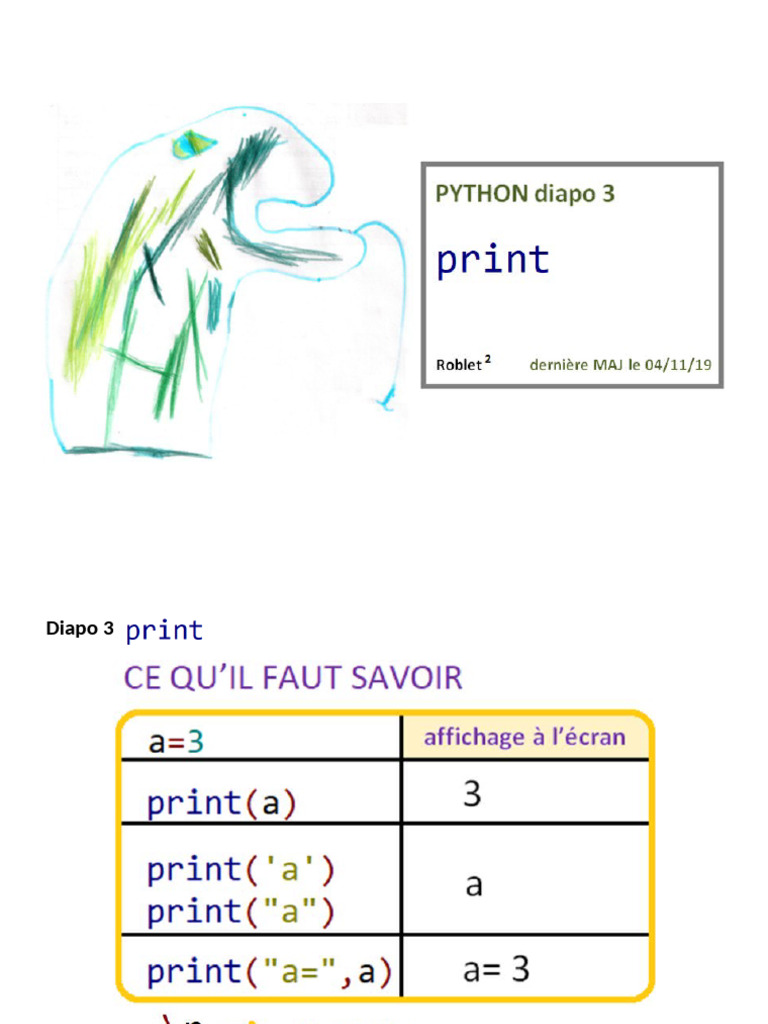 Python Diapo 3 Print | PDF