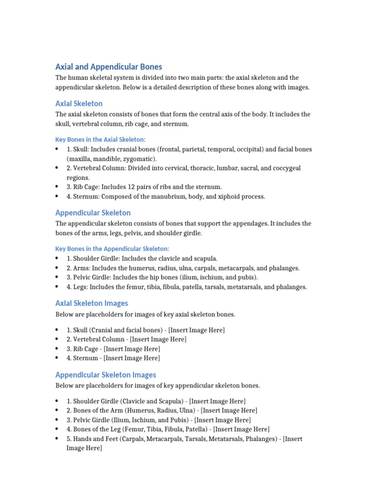 Human Axial and Appendicular Skeletons | PDF