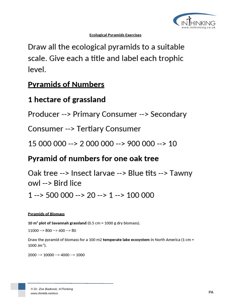 5-Ecological-Pyramids-Exercises - Docx" Kopija | PDF
