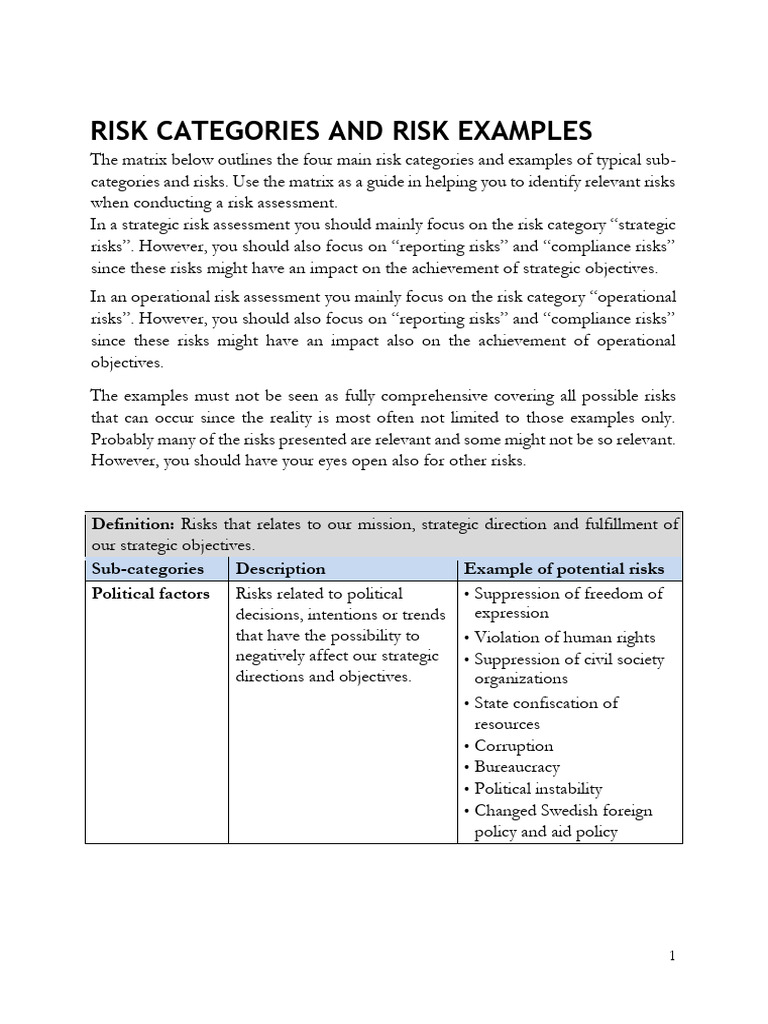 Risk Categories and Risk Examples | PDF | Risk | Internal Control