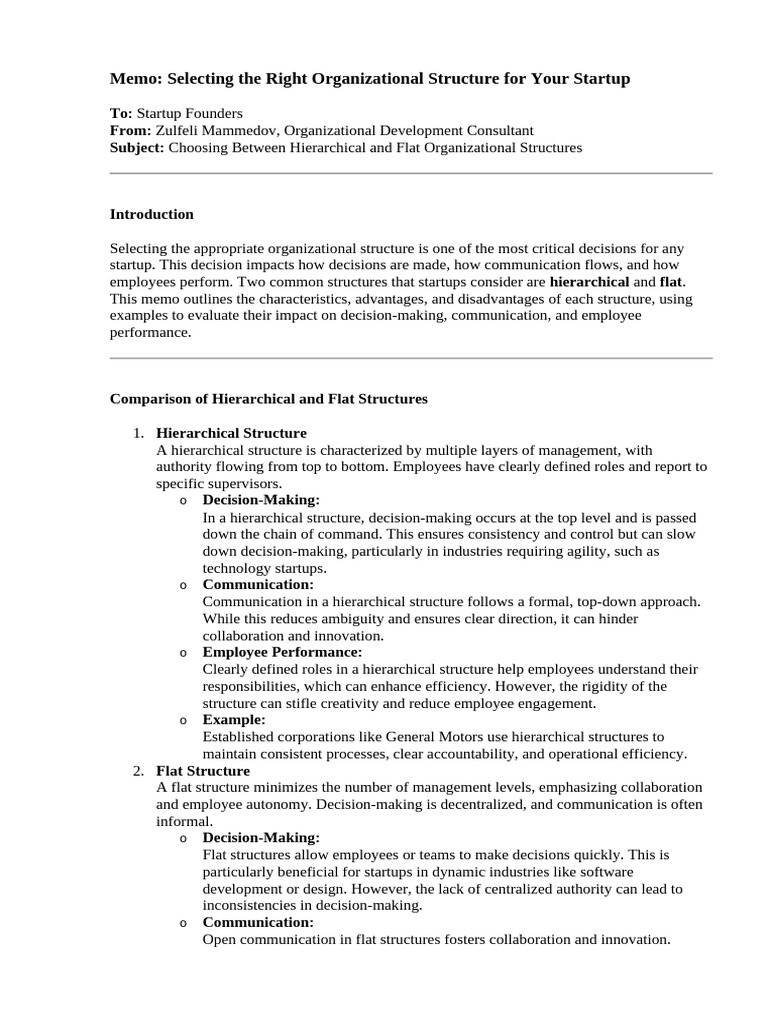 Business Assignment 3 Management | PDF | Organizational Structure | Startup Company