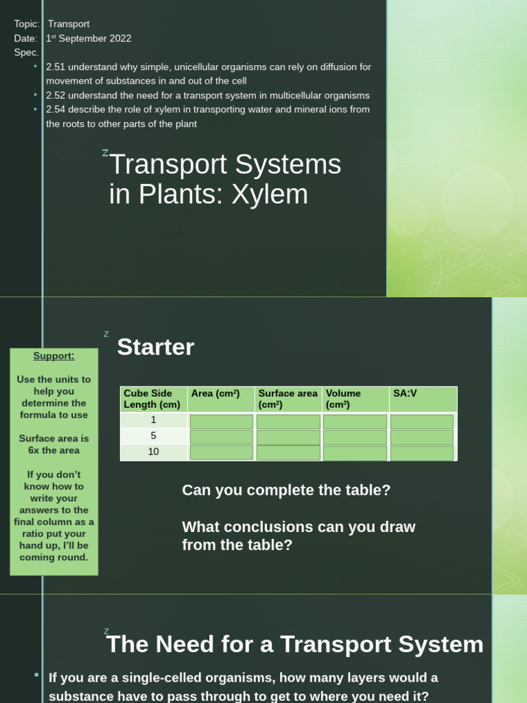 Transport Systems in Plants Xylem and Phloem | PDF | Biology