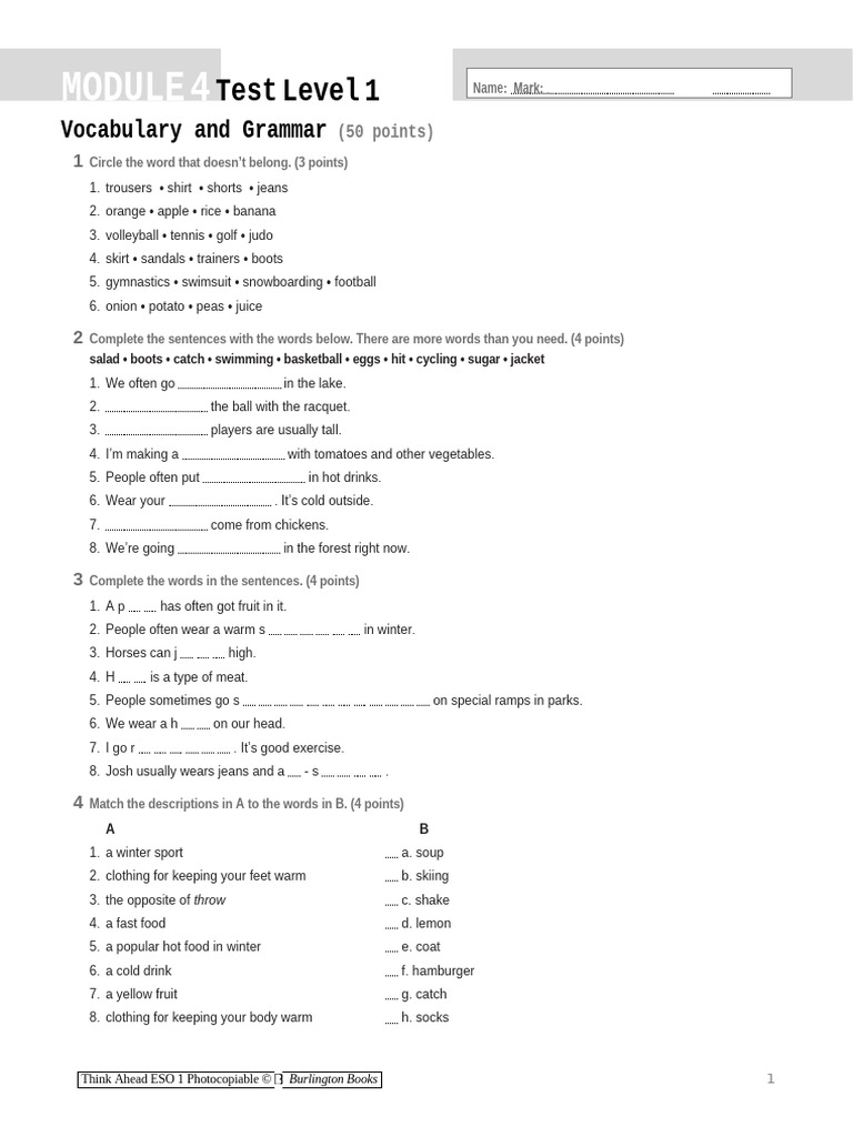 Module 4 Test: Vocabulary & Grammar | PDF