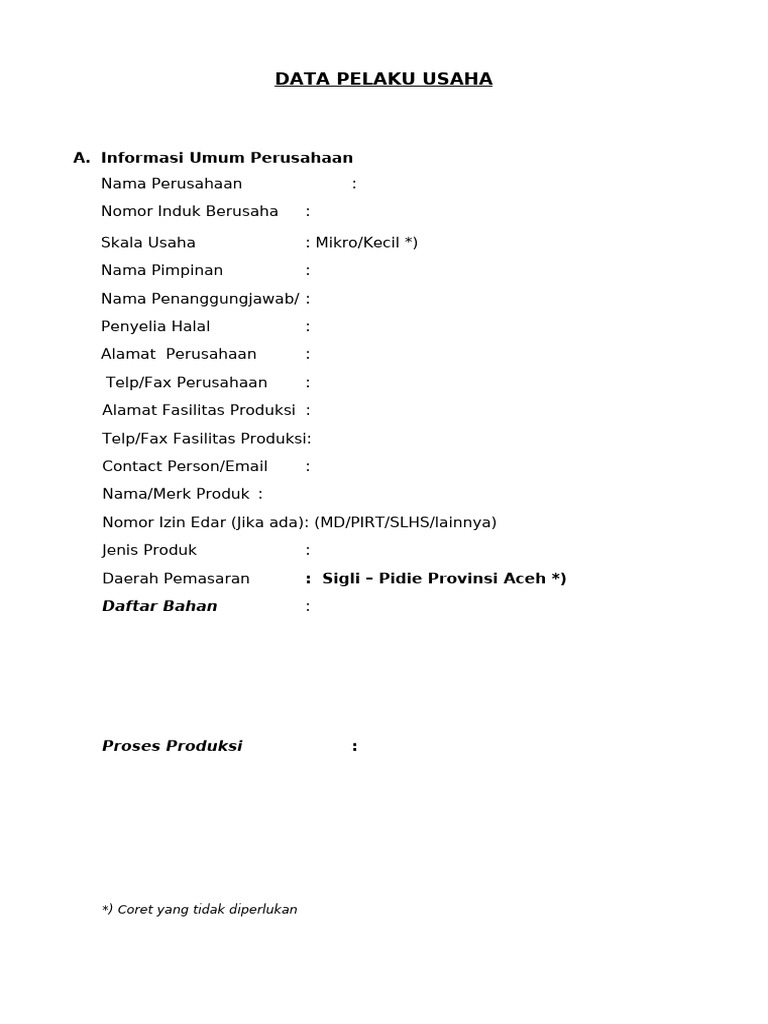 Informasi Usaha Mikro/Kecil | PDF