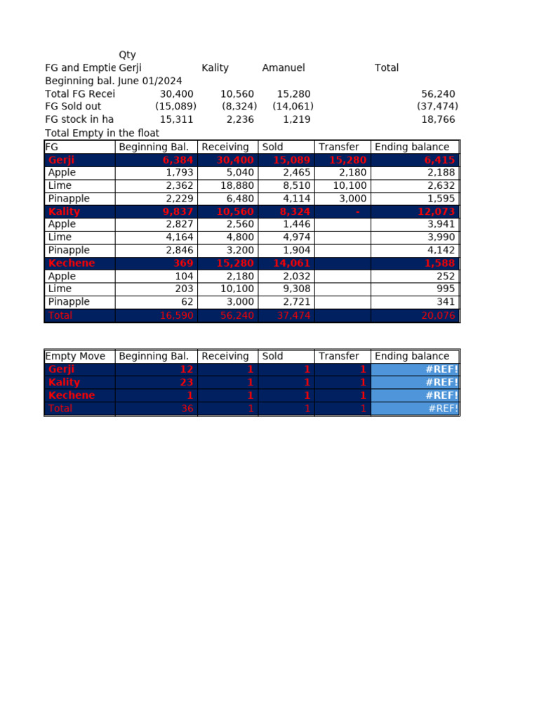 Inventory Report Summary 2024 | PDF