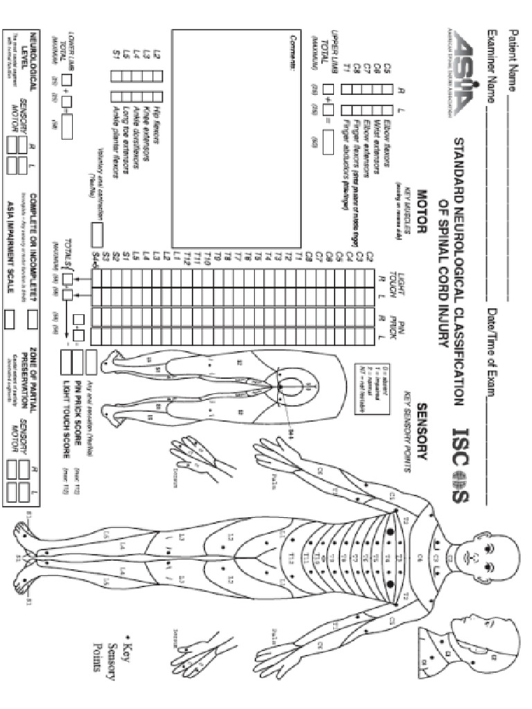 Score Asia 1 | PDF