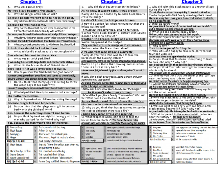 Black Beauty: Key Questions & Answers | PDF