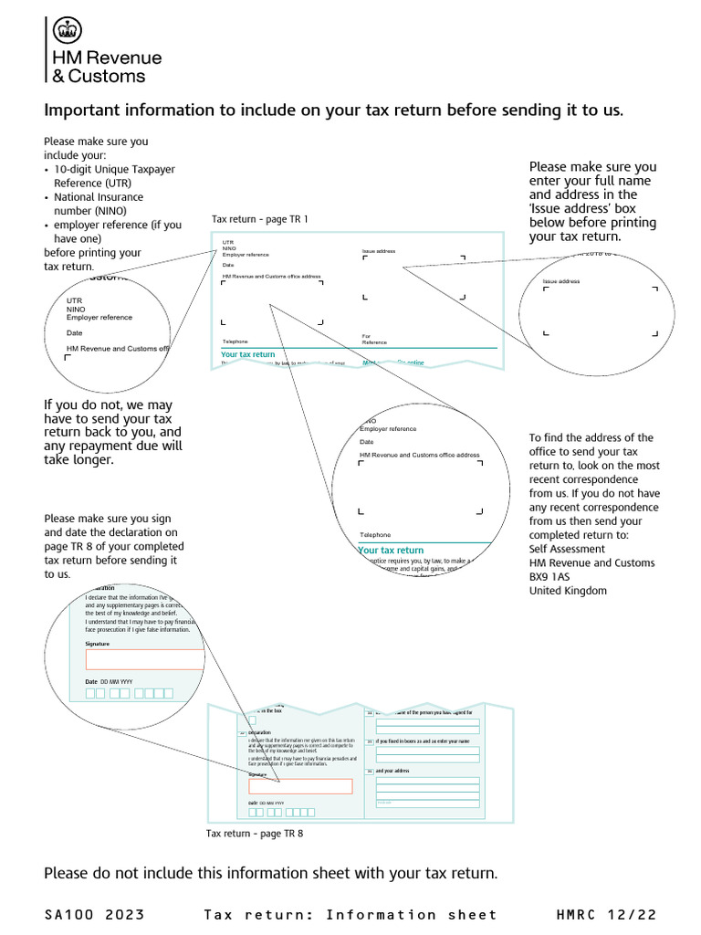 SA100 Form Submission Guidelines 2025 | PDF