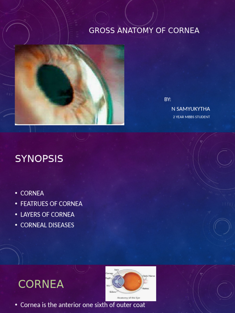 Anatomy of Cornea | PDF | Cornea | Epithelium