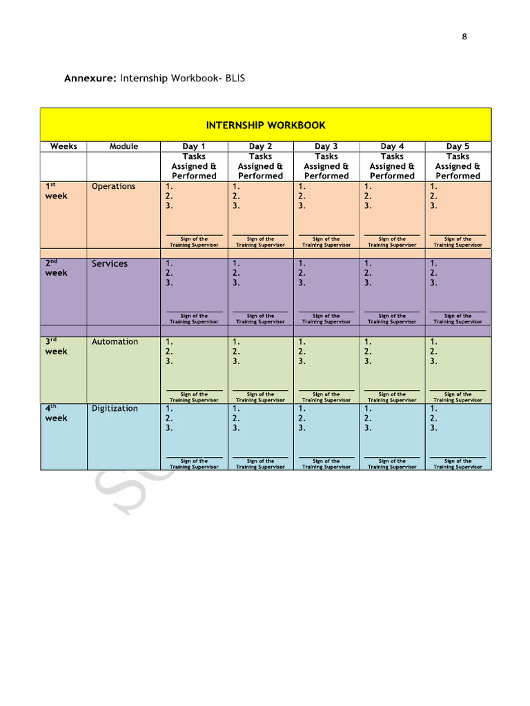 BLIS Workbook Format | PDF