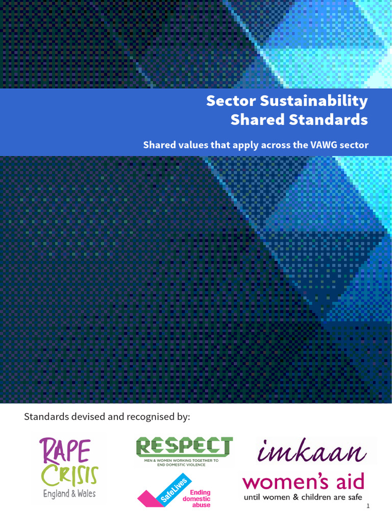 Shared Standards VAWG Services | PDF | Intersectionality | Woman