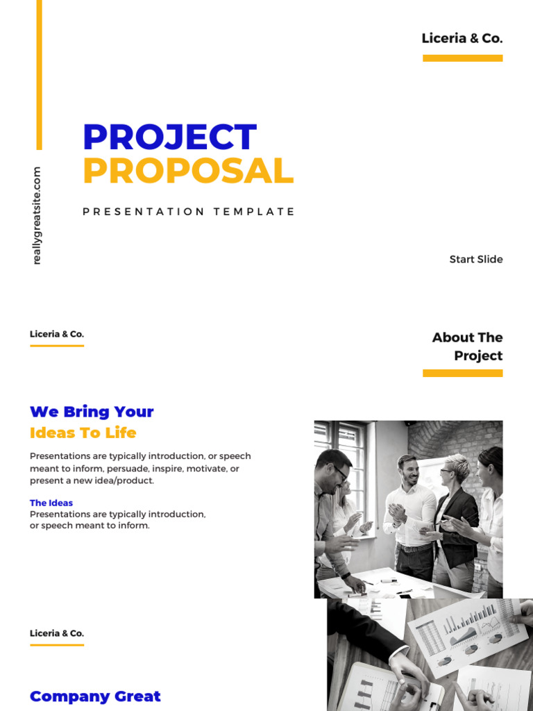 White and Blue Team Project Presentation | PDF