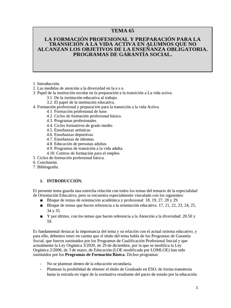 TEMA 65 | PDF | Educación vocacional | Plan de estudios