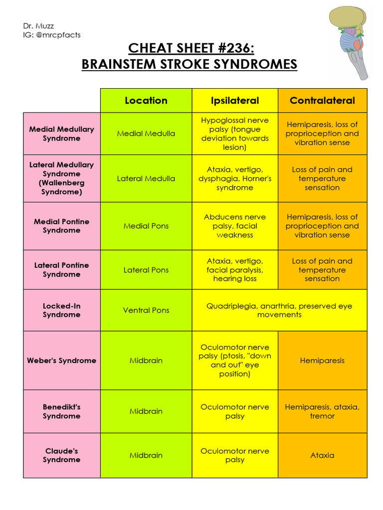 Cheat Sheet #236 - Brainstem Stroke Syndromes | PDF