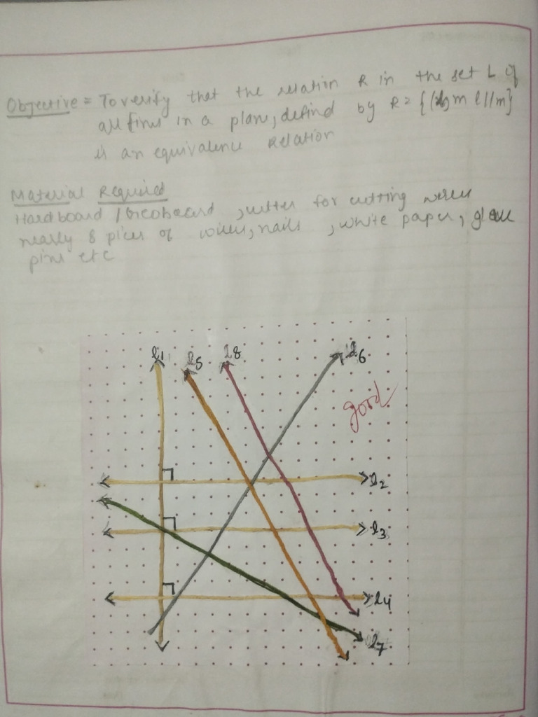 Mathematics Practicals | PDF