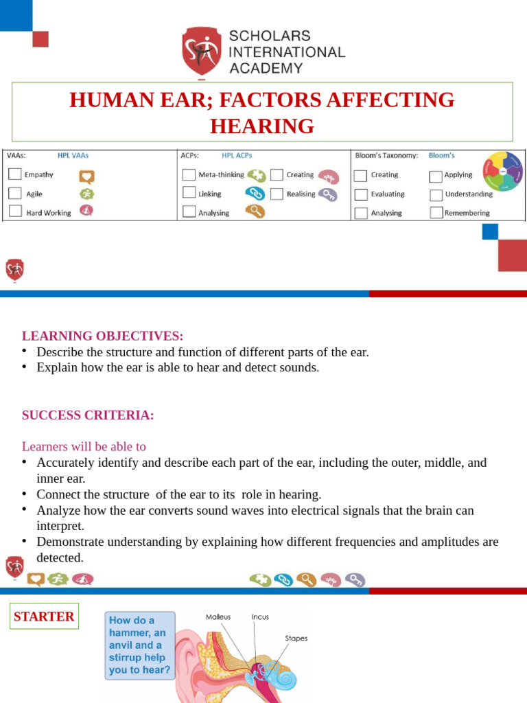 Human Ear, Factors Affecting Hearing | PDF | Ear | Sound