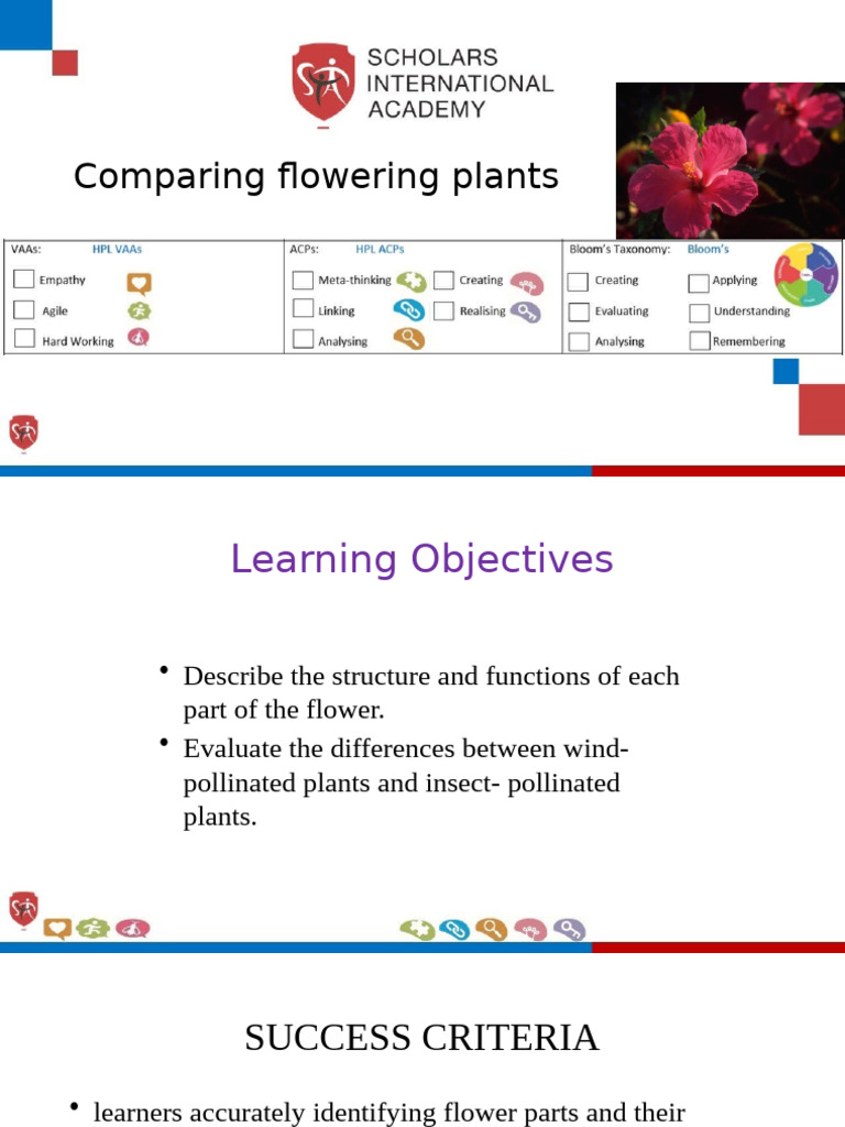 Flower Structure and Pollination Types | PDF | Flowers | Pollination