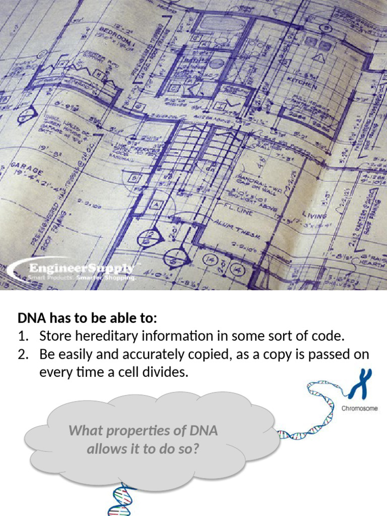 Dna | PDF | Dna | Rna