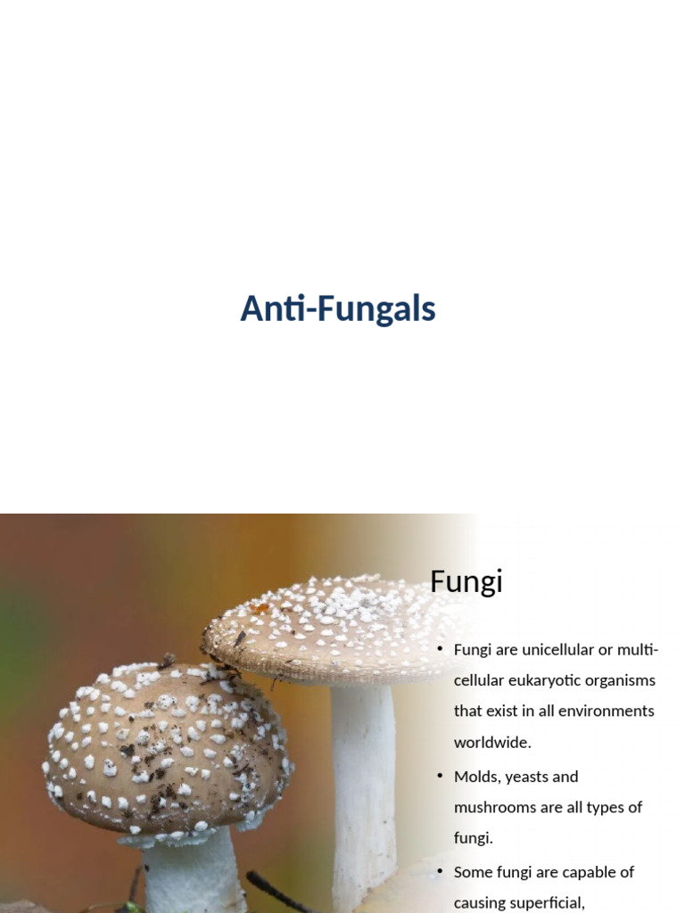 Understanding Fungal Infections and Treatments | PDF | Medicine | Microbiology