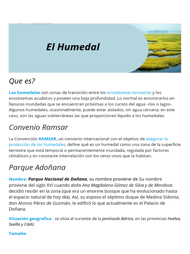 El humedal | PDF | Humedal | Agua
