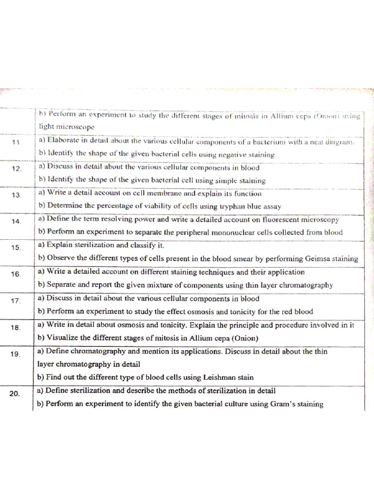 Cell Biology Lab | PDF