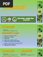 Insect Body Segmentation Guide | PDF | Insects | Arthropodology