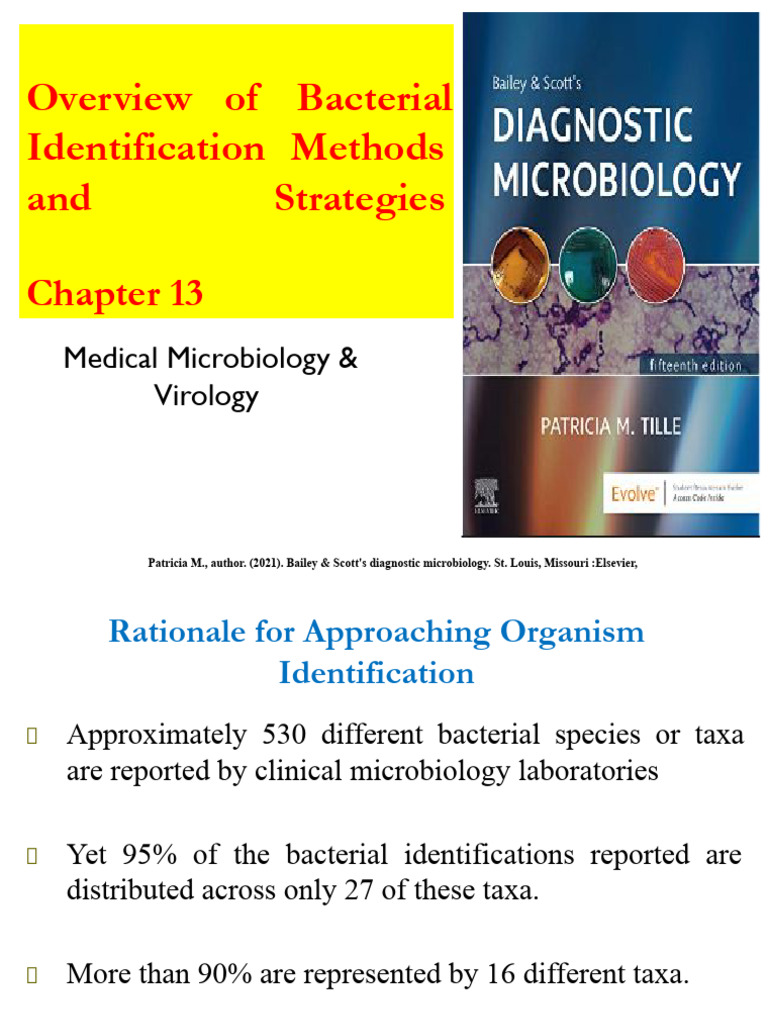 Chapter 13 Overview of Bacterial Identification | PDF | Infection ...