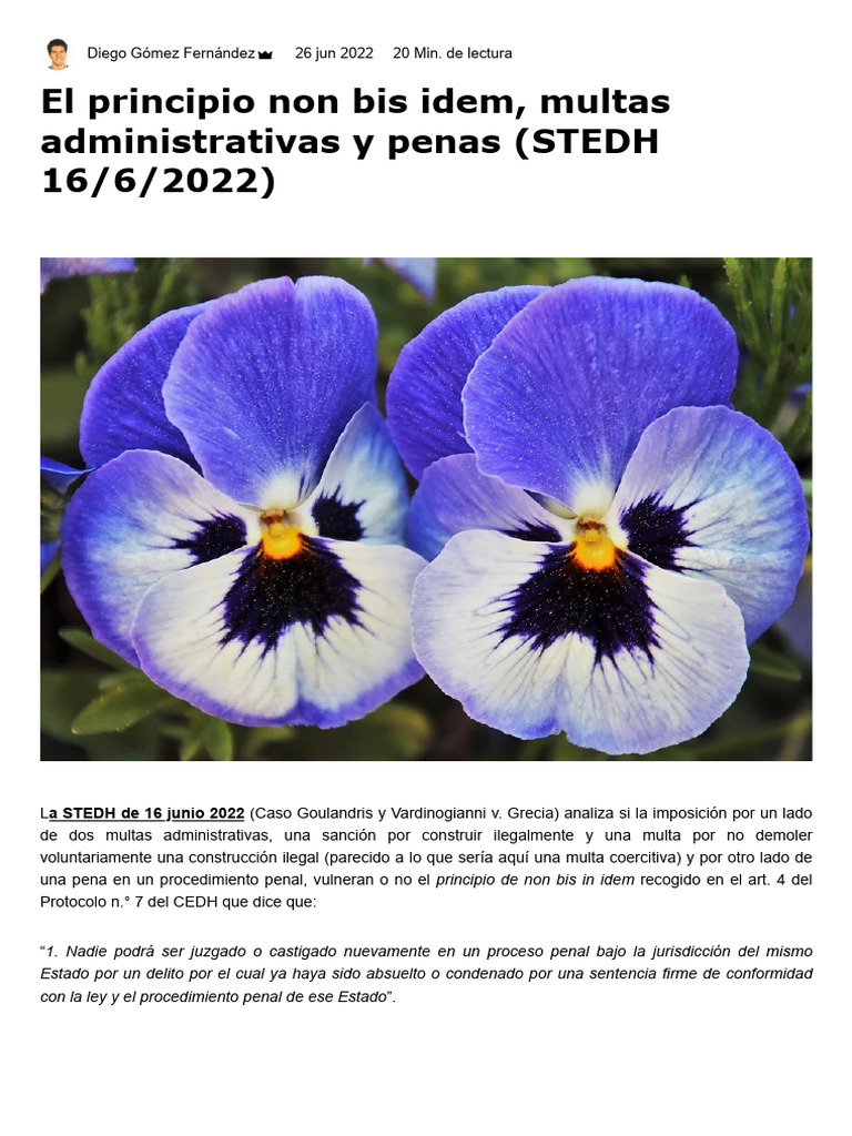 Non Bis In Idem y Sanciones Administrativas | PDF | Multa (pena) | Castigos