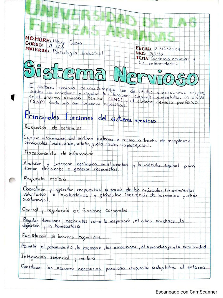 TAREA 2-Comprimido | PDF
