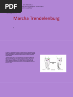 Test de Trendelenburg | PDF | Osteoartritis | Pelvis