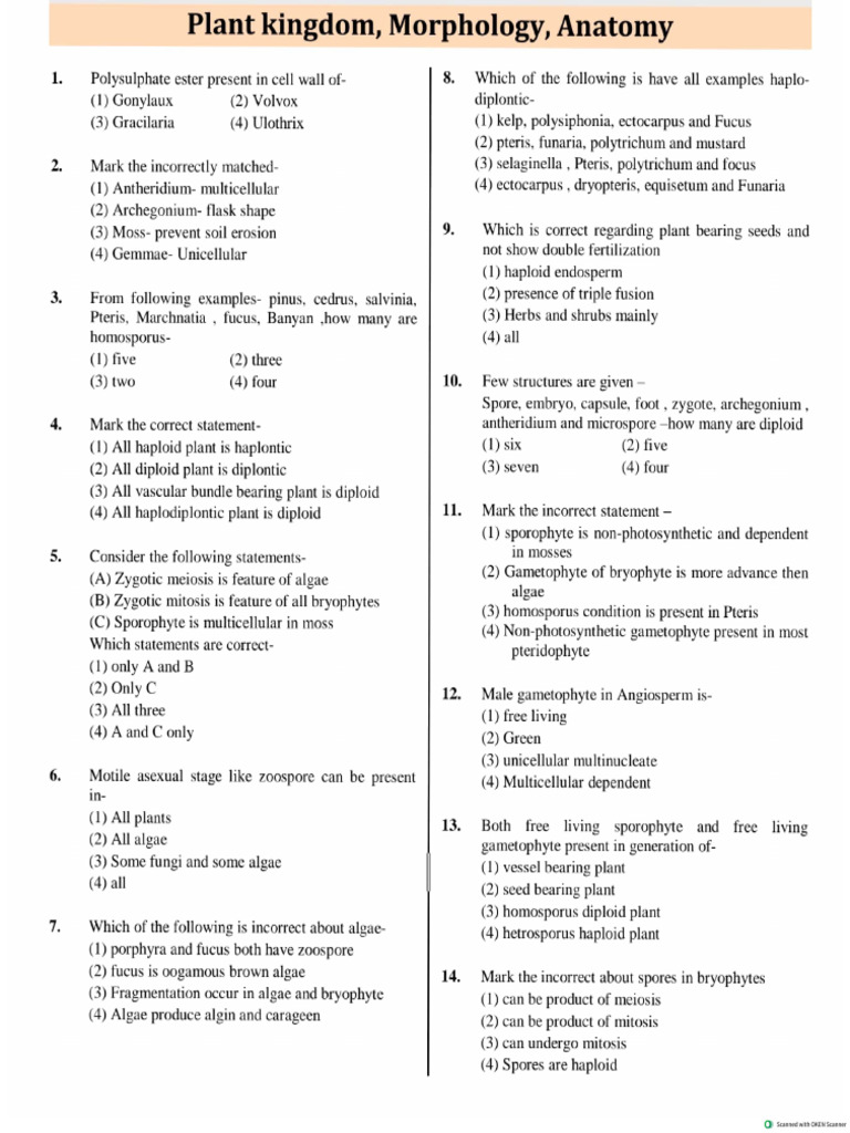 Test Plant Kingdom, Morphology, Anatomy Milestone Test Class 11th4 | PDF
