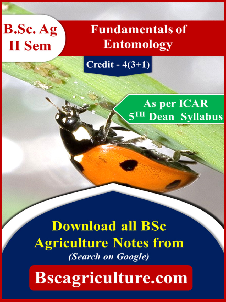 Fundamentals of Entomology | PDF | Pupa | Insects